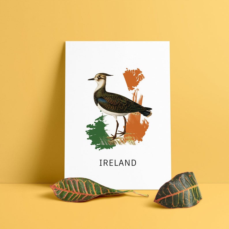 Lapwing Ireland - Birds of the World Minimalist Poster - Etsy