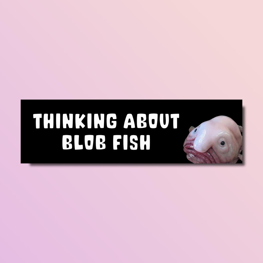 Thinking About Blob Fish Bumper Sticker, Funny Bumper Sticker, Silly ...