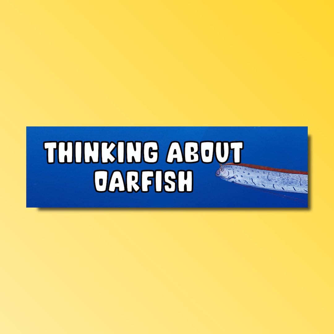 Thinking About Oarfish Bumper Sticker, Oarfish Meme, Funny Bumper ...