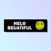 Hello Beautiful Bumper Sticker, Funny Bumper Sticker, Silly Genz Z Meme ...