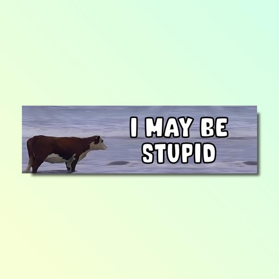 Dumme Meme