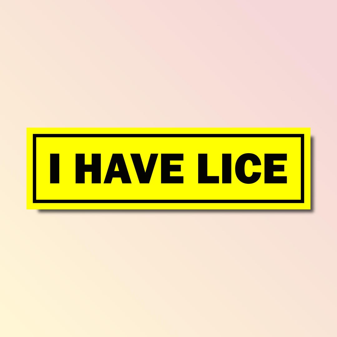 I Have Lice Bumper Sticker, Funny Bumper Sticker, Silly Genz Z Meme ...