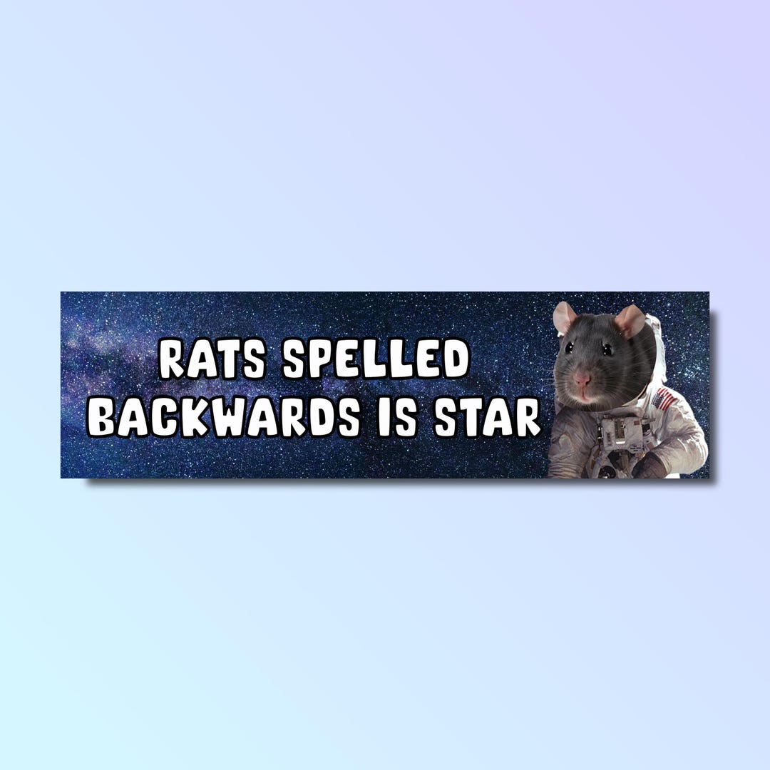 Rats Spelled Backwards is Star Bumper Sticker, Rat Bumper Sticker, Rat ...