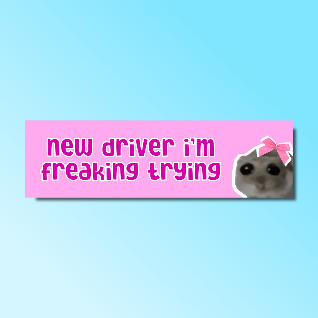 New Driver I'm Freaking Trying Bumper Sticker, Silly Genz Z Meme ...