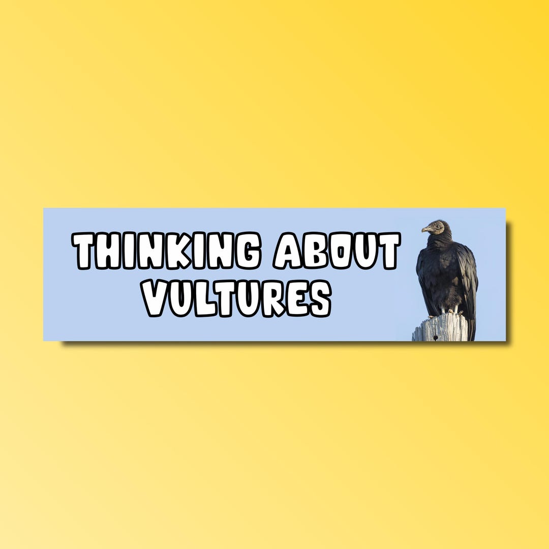 Thinking About Vultures Bumper Sticker, Funny Bumper Sticker, Silly ...