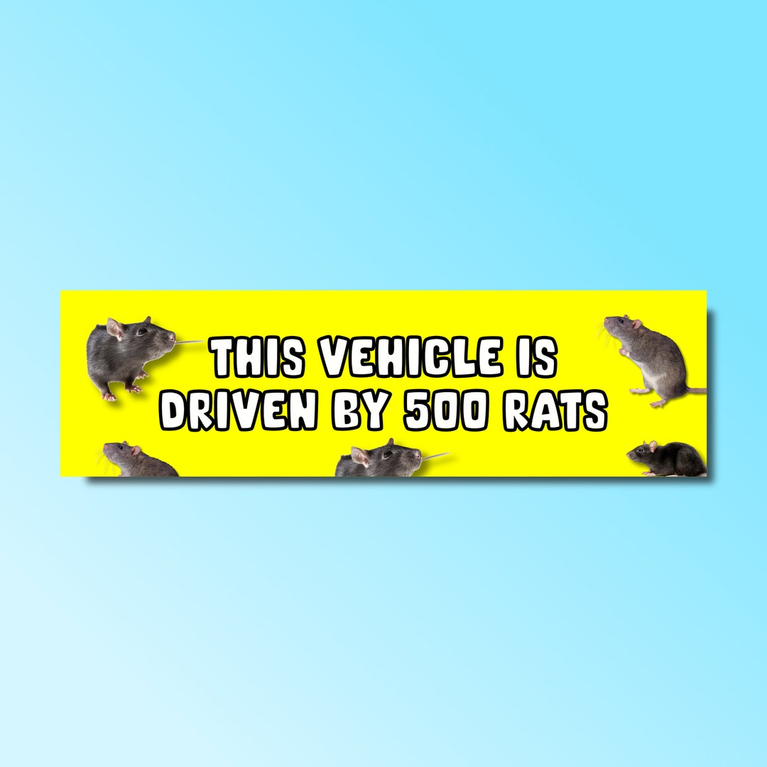 This Vehicle is Driven by 500 Rats Bumper Sticker, Funny Bumper Sticker ...