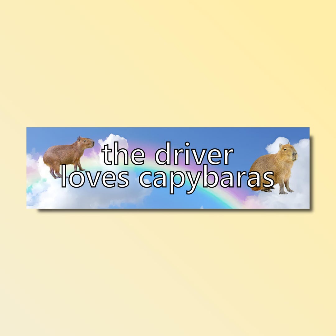 The Driver Loves Capybaras Bumper Sticker, Funny Bumper Sticker, Silly ...