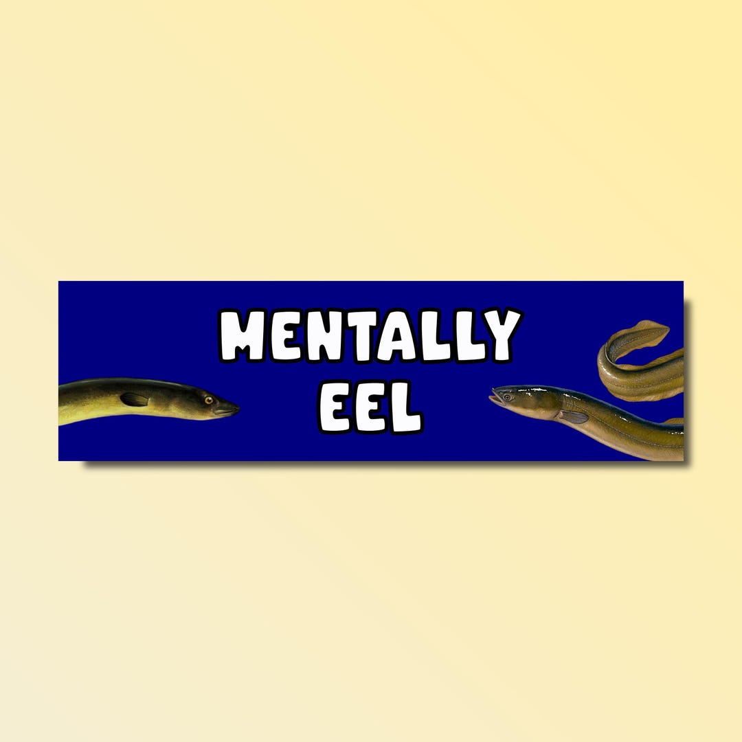 Mentally Eel Bumper Sticker, Funny Bumper Sticker, Silly Genz Z Meme ...
