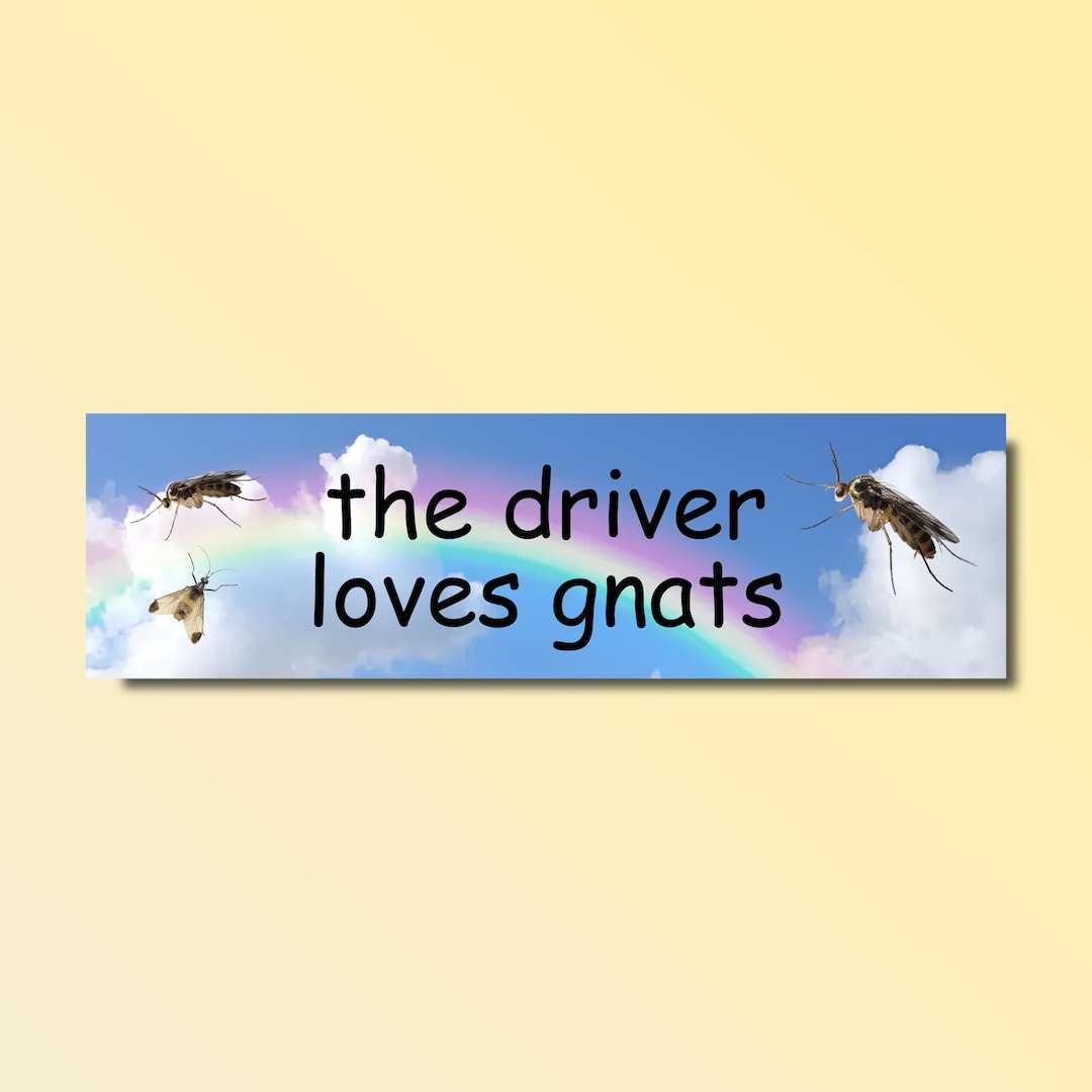 The Driver Loves Gnats Bumper Sticker, Funny Bumper Sticker, Silly Genz ...