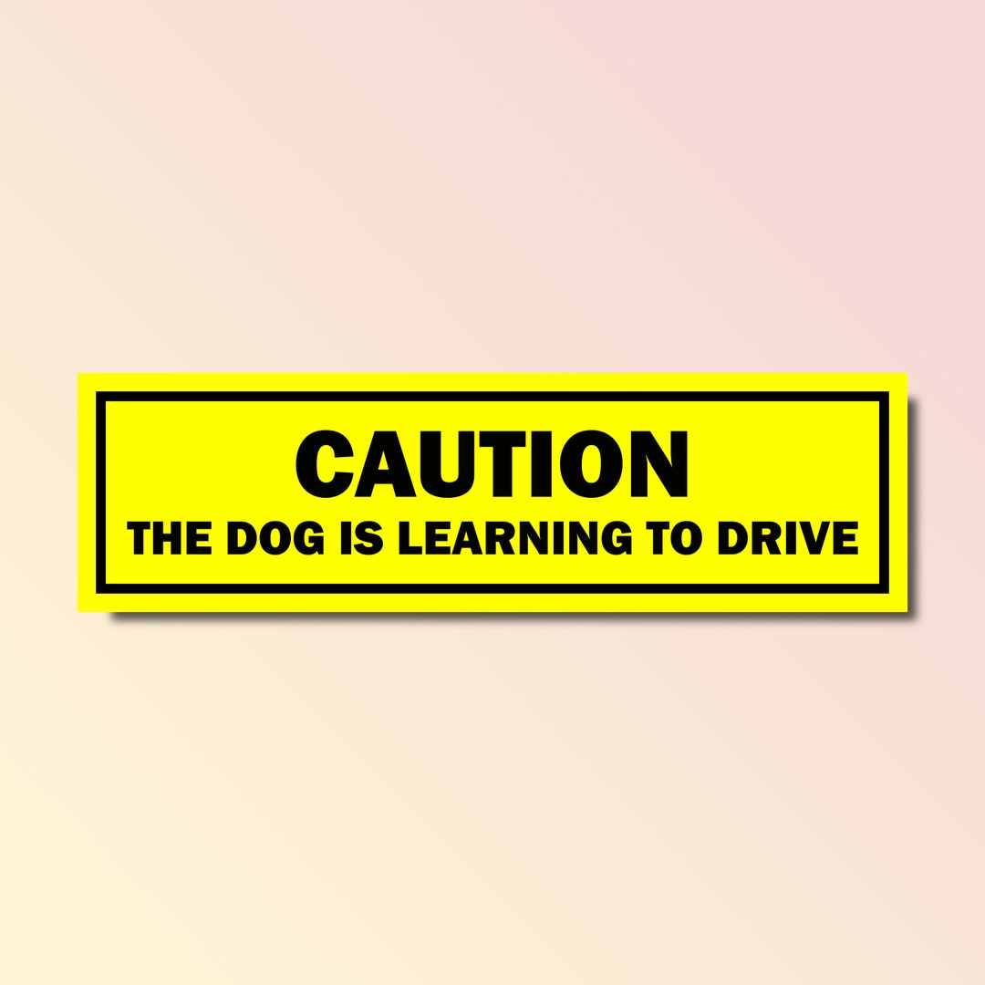 Caution the Dog is Learning to Drive Bumper Sticker, Funny Bumper ...