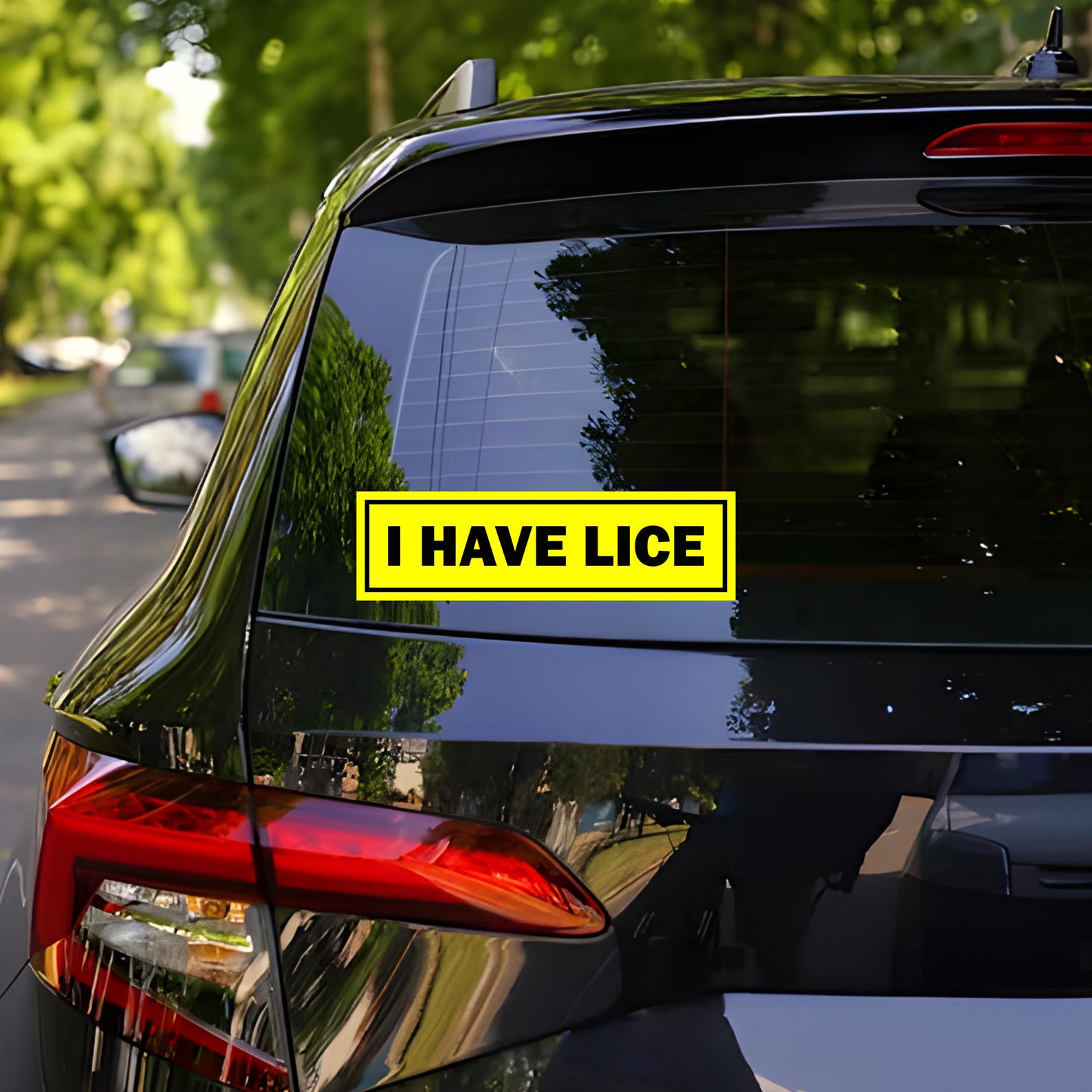 I Have Lice Bumper Sticker, Funny Bumper Sticker, Silly Genz Z Meme ...