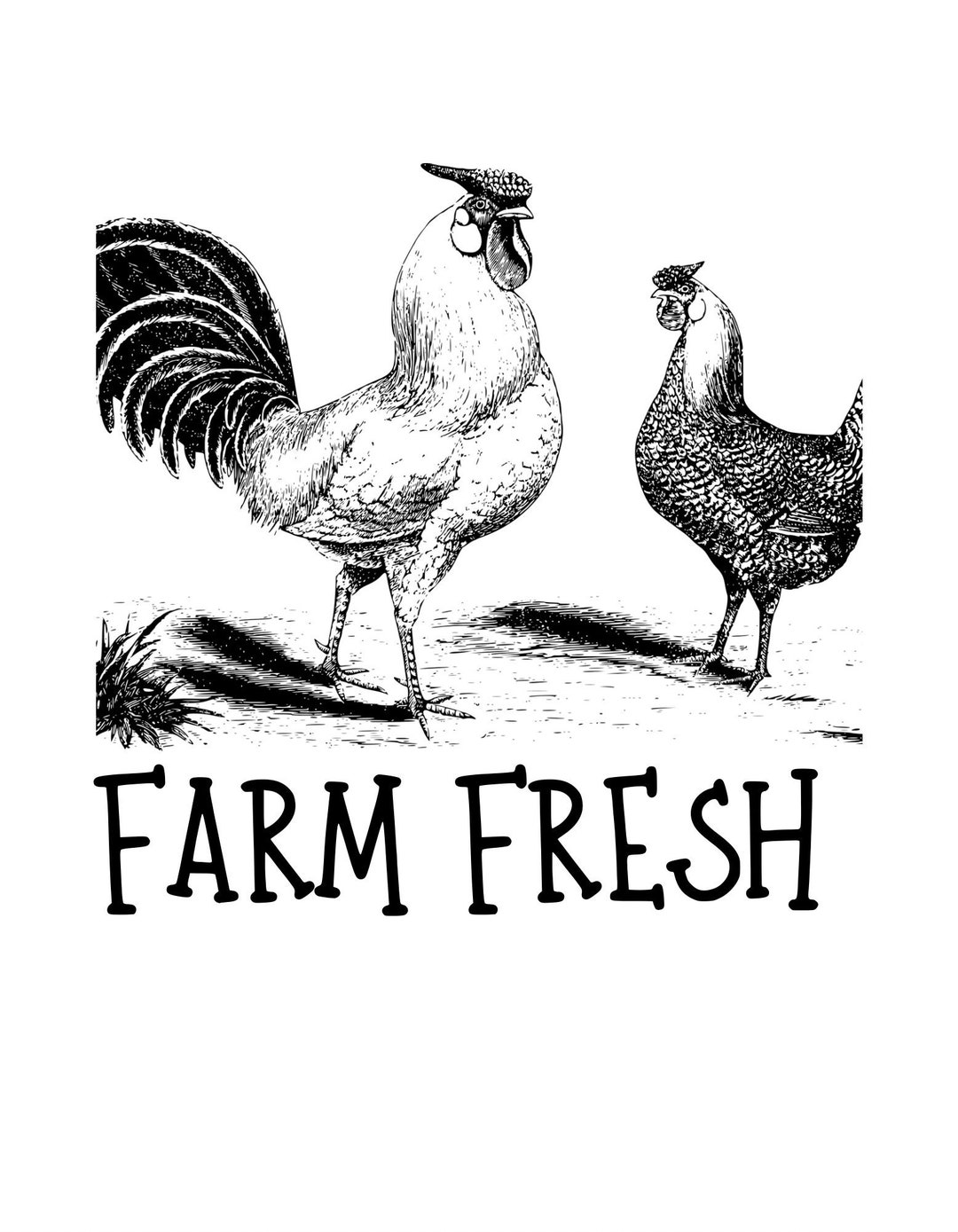 Farm Fresh Chickens Digital Design, Png File, Svg File, and Jpg File ...