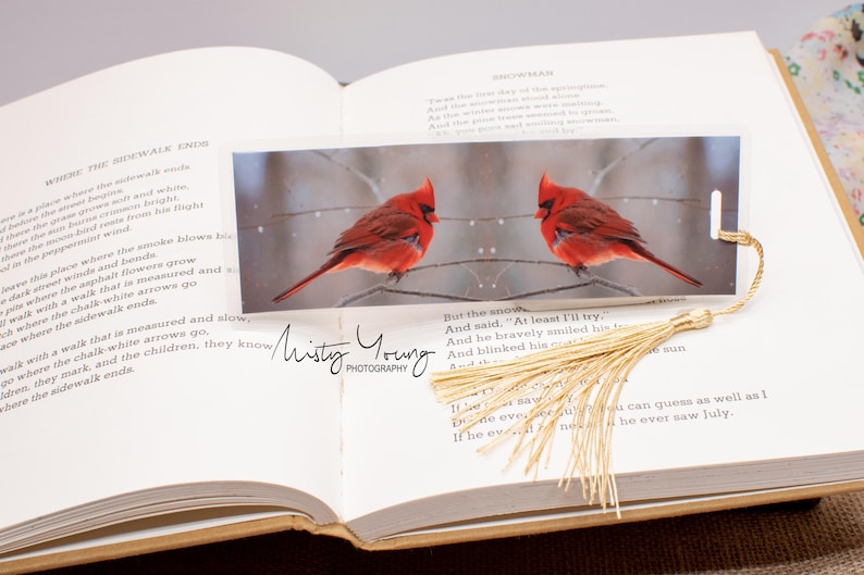 Bird Bookmarks Set of 14, Bookmarks, Bird Bookmark, Birdwatching ...