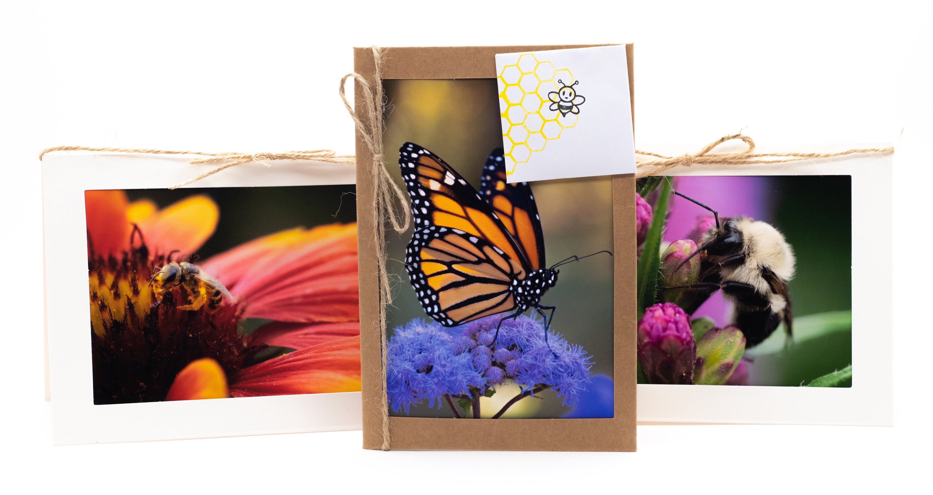 Hand Crafted Greeting Cards (butterflies Collection) - SET OF 4 CARDS ...