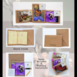 Hand Crafted Greeting Cards (butterflies Collection) - SET OF 4 CARDS ...