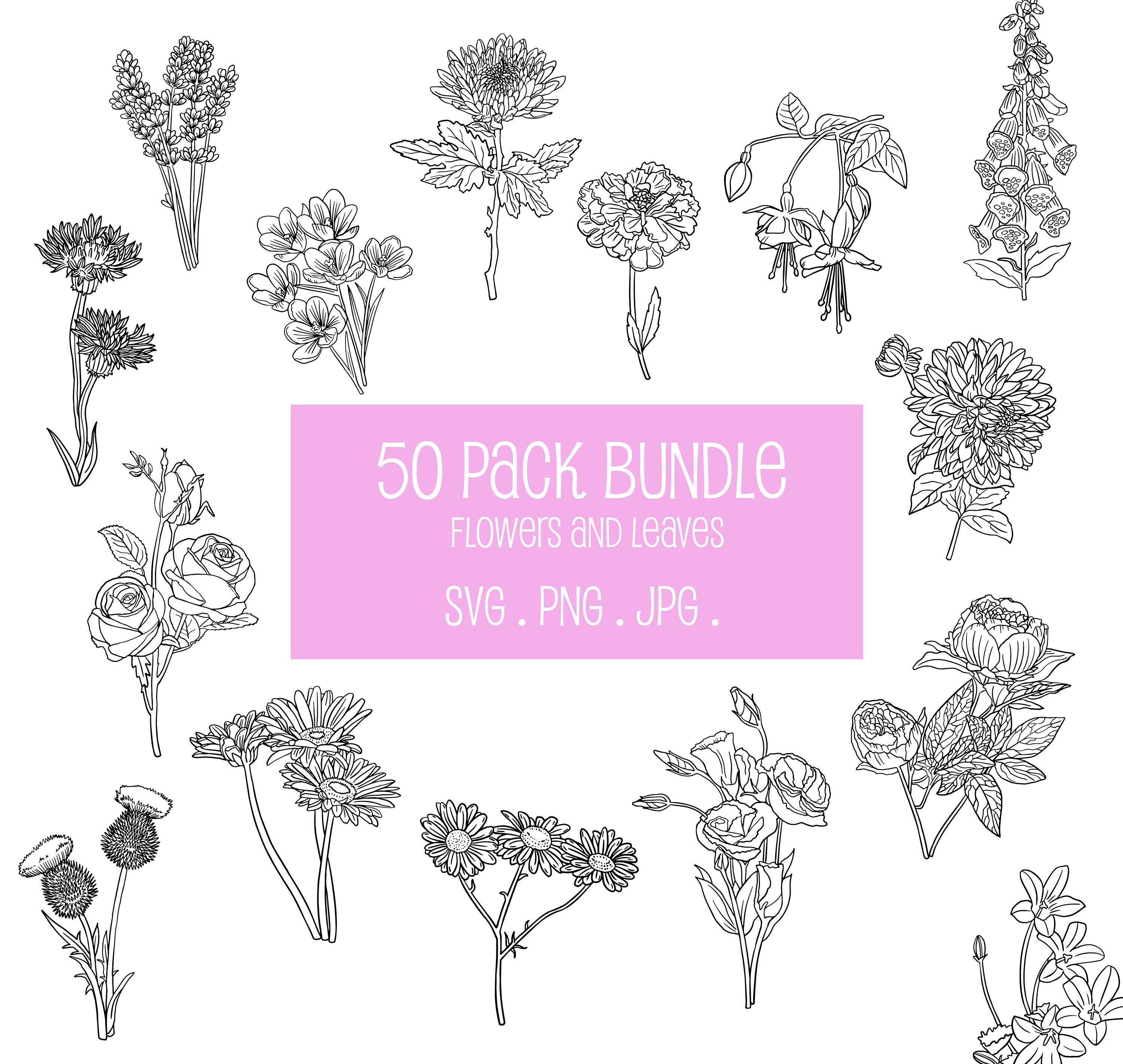 Botanical Svg Flower Svg Files for Cricut Botanical - Etsy