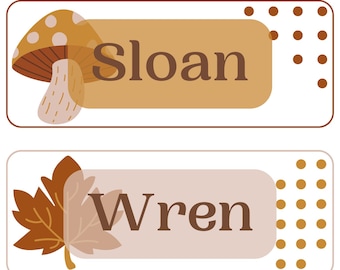 Desk Name Labels, Classroom Name Labels, Cubby Label, Name Tags, Back ...