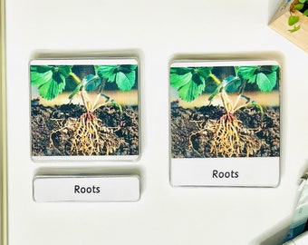 Marc Chagall Montessori Three Part Cards and Artist Bio - Etsy