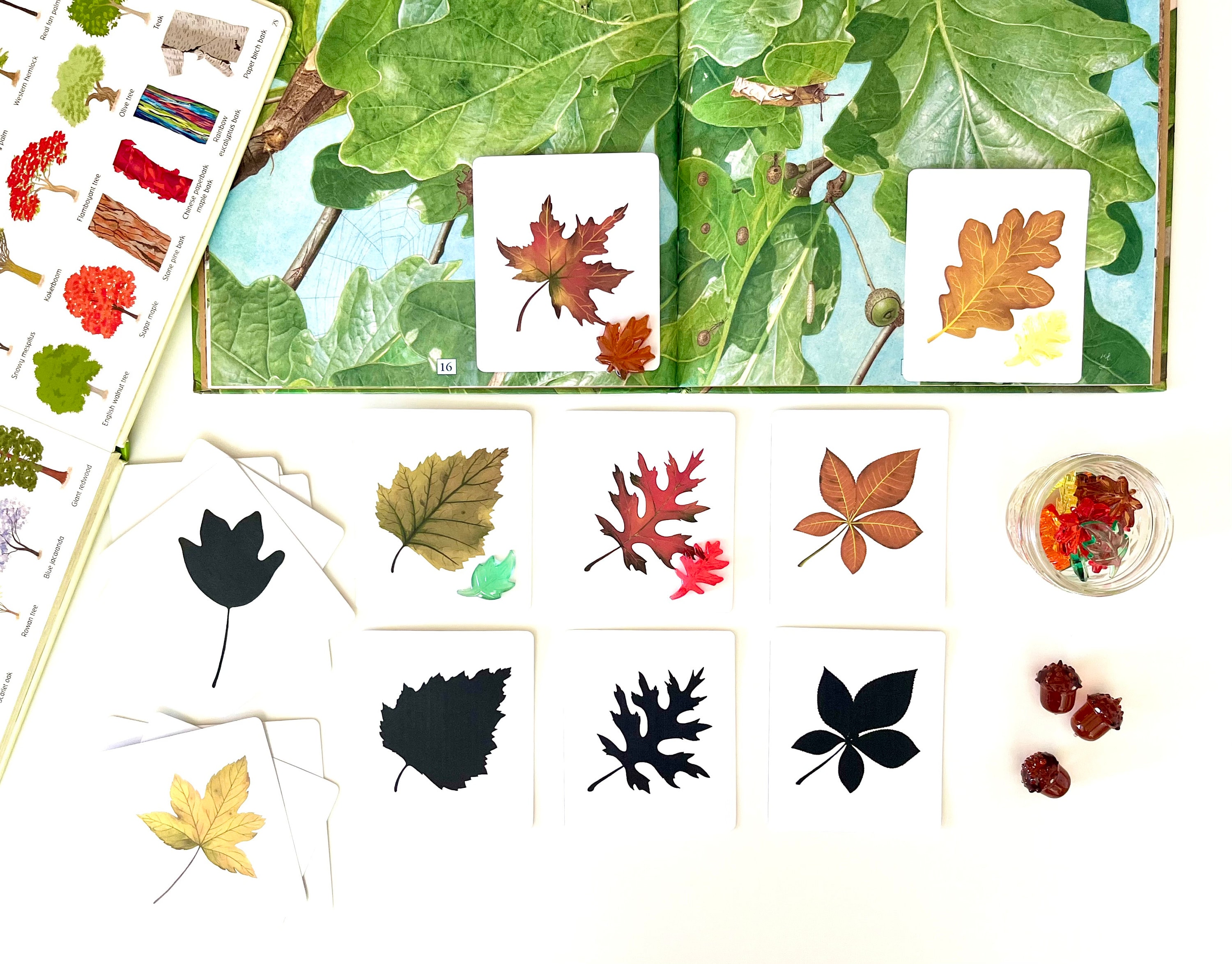 Leaf Silhouette Matching Cards - Etsy
