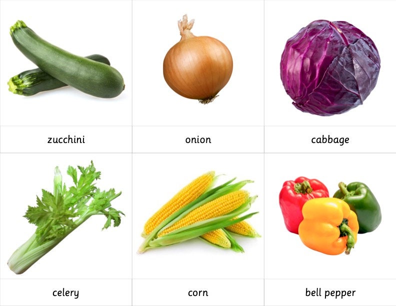 Montessori 3 Part Cards Vegetables - Etsy