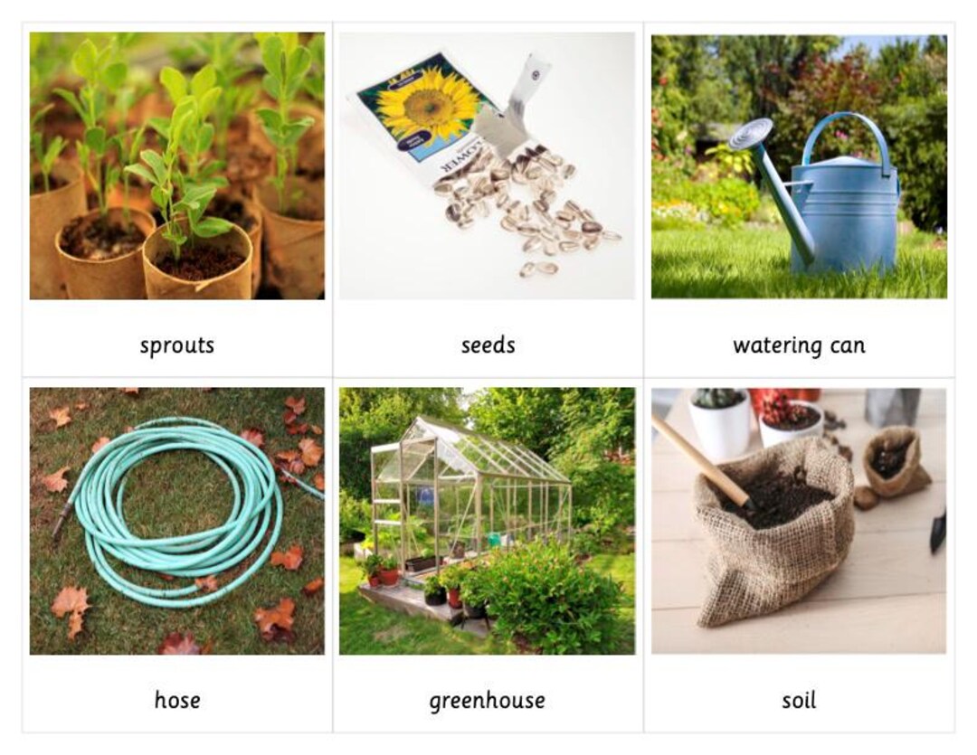 Garden Montessori 3 Part Cards - Etsy