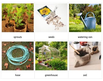 Garden Plant 3-part Cards Printable Preschool Kindergarten Montessori ...