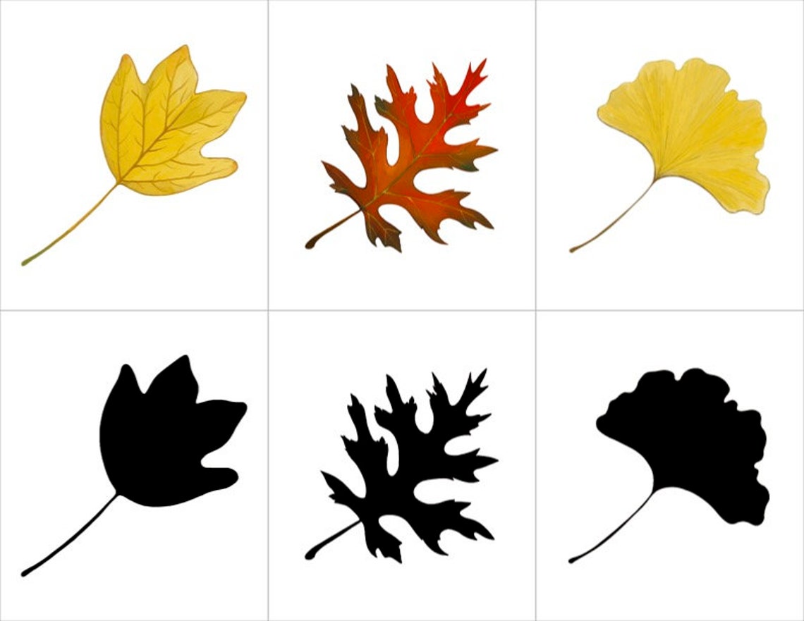 Leaf Silhouette Matching Cards - Etsy