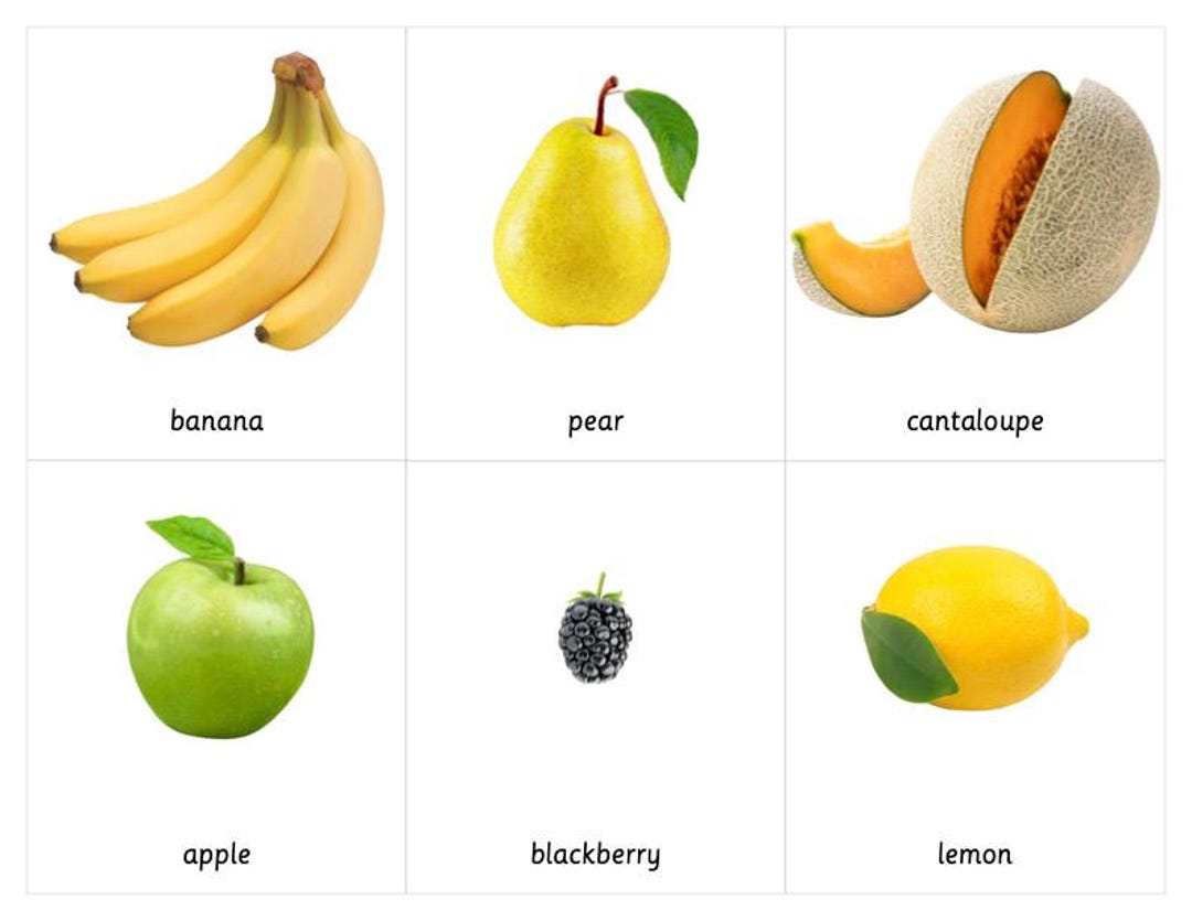 Fruit Montessori 3 Part Cards - Etsy