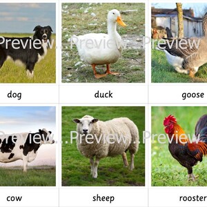 Montessori 3 Part Cards - Farm Animals - Etsy