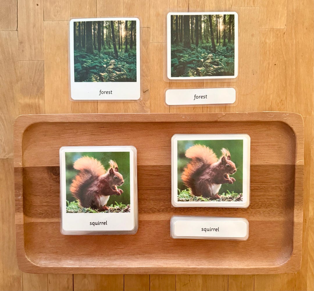Forest Habitat Montessori 3 Part Cards - Etsy