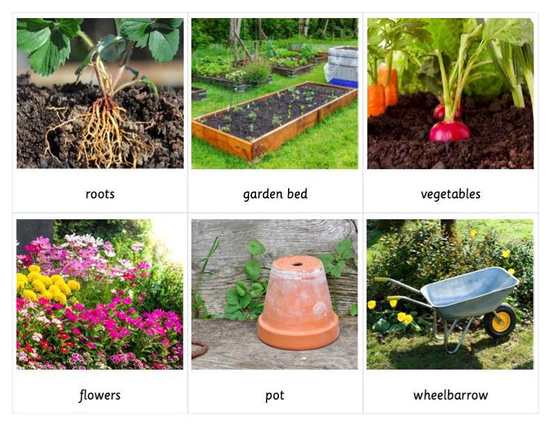 Garden Montessori 3 Part Cards - Etsy
