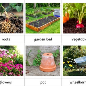 Montessori 3 Part Cards Garden - Etsy