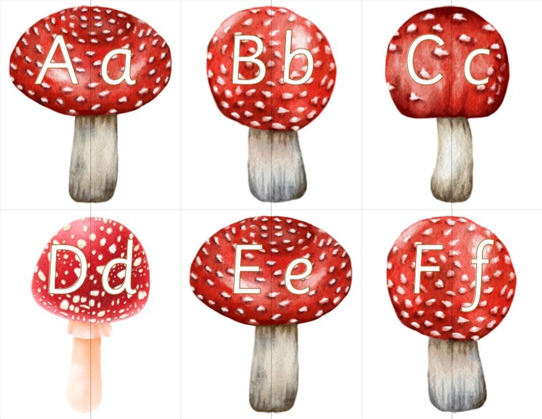 Toadstool Upper & Lower Case Matching Cards - Etsy