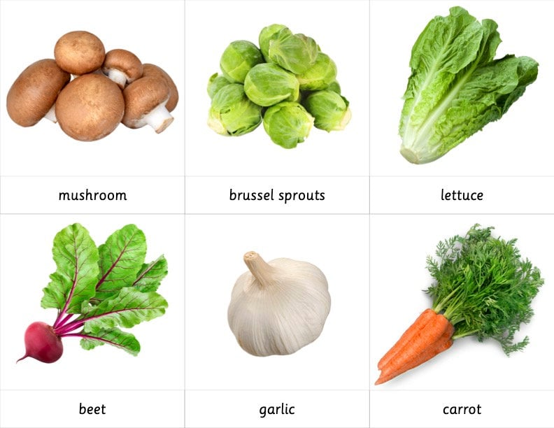 Montessori 3 Part Cards Vegetables - Etsy