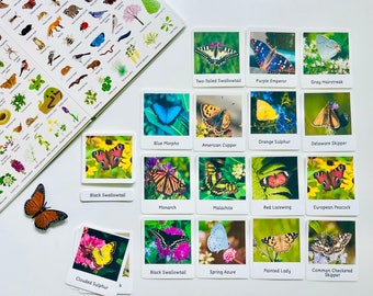 Montessori Butterflies Three/four Part Cards With Matching Objects - Etsy
