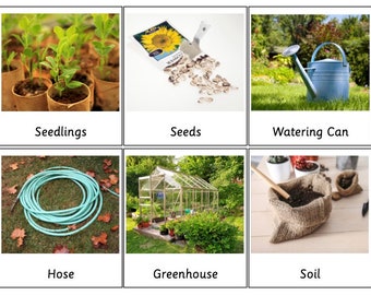 Birds Montessori Printable Vocabulary 3 Part Cards. - Etsy