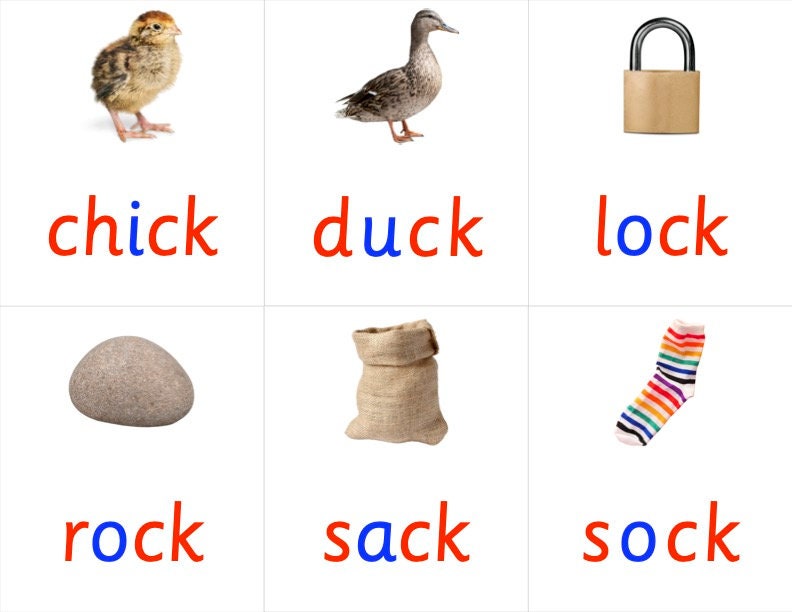 Montessori Phonetic Language Cards - Blue Series - Etsy