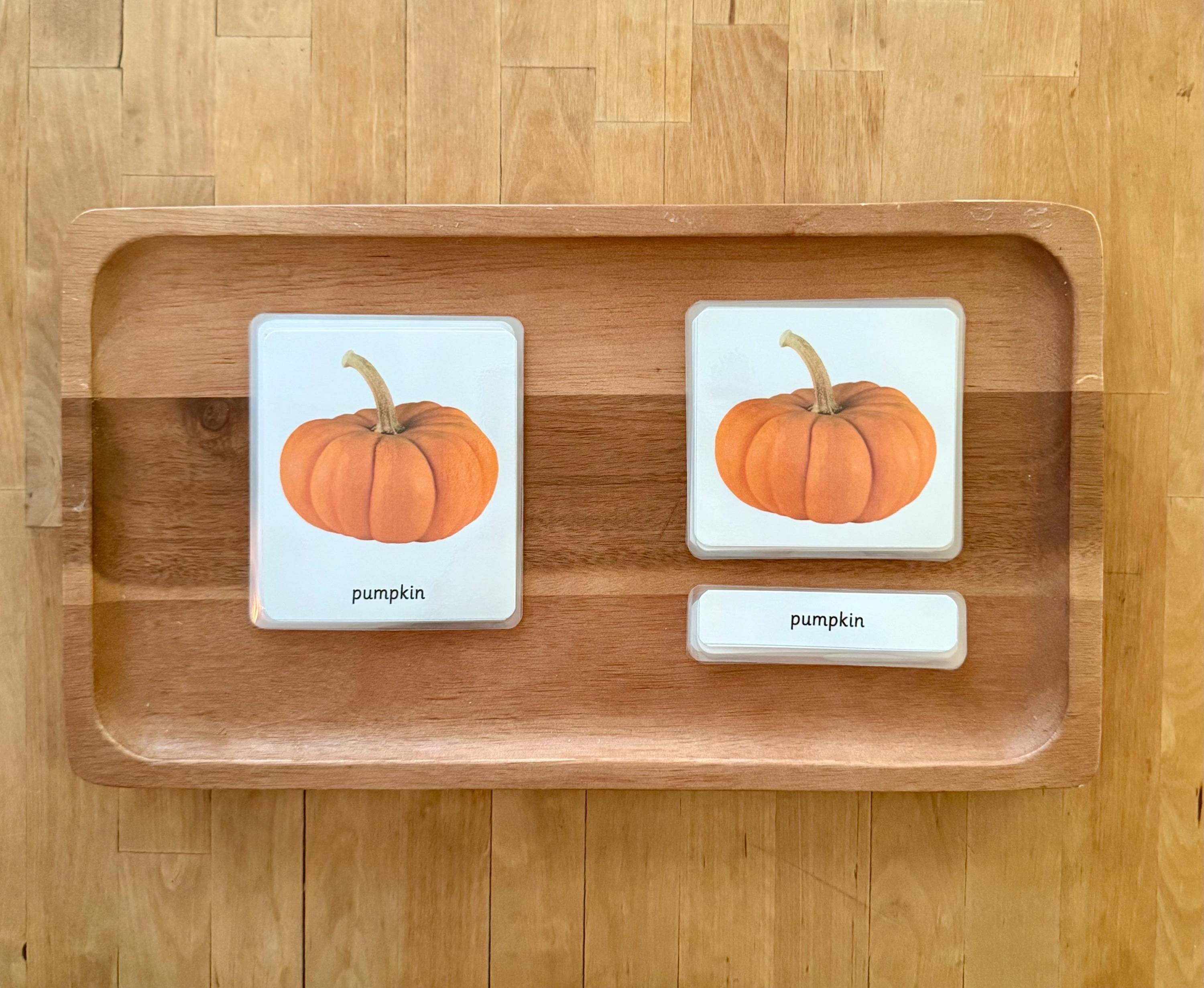 Parts of a Pumpkin Montessori 3 Part Cards - Etsy