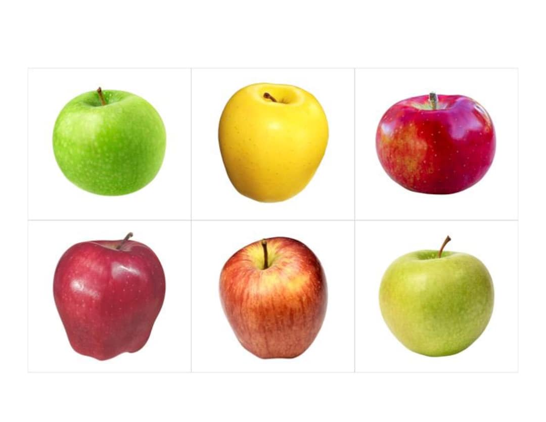 Types of Apples Montessori 3 Part Cards - Etsy