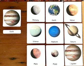 Marc Chagall Montessori Three Part Cards and Artist Bio - Etsy