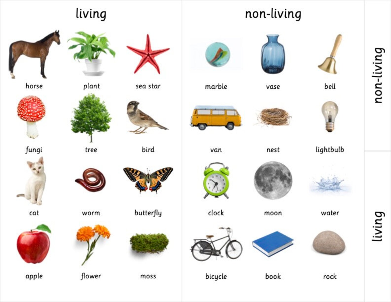 Montessori Classification Cards - Living & Non-living - Etsy