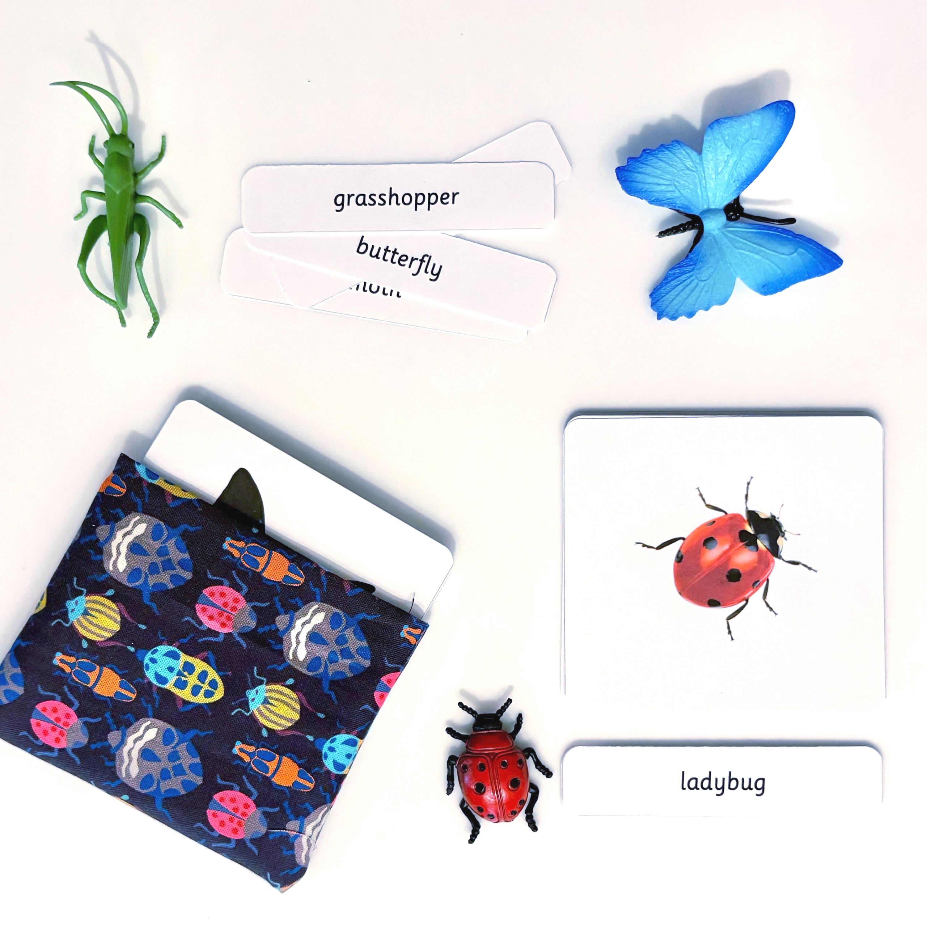 Insect & Bug Montessori 3 Part Cards and Language Objects - Etsy