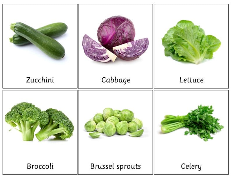 Montessori 3 Part Cards Vegetables - Etsy