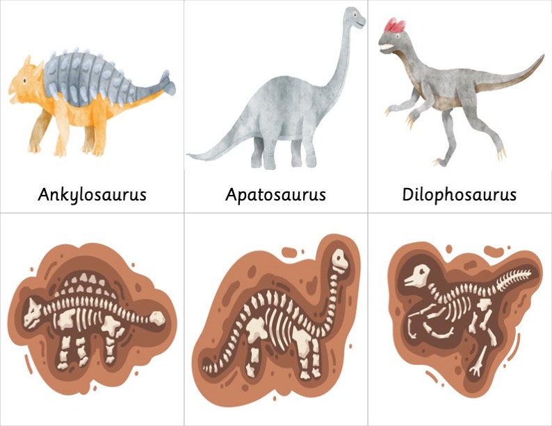 Dinosaur Fossil Identification Cards - Etsy