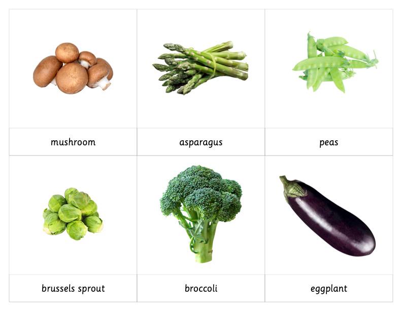 Vegetable Montessori 3 Part Cards - Etsy