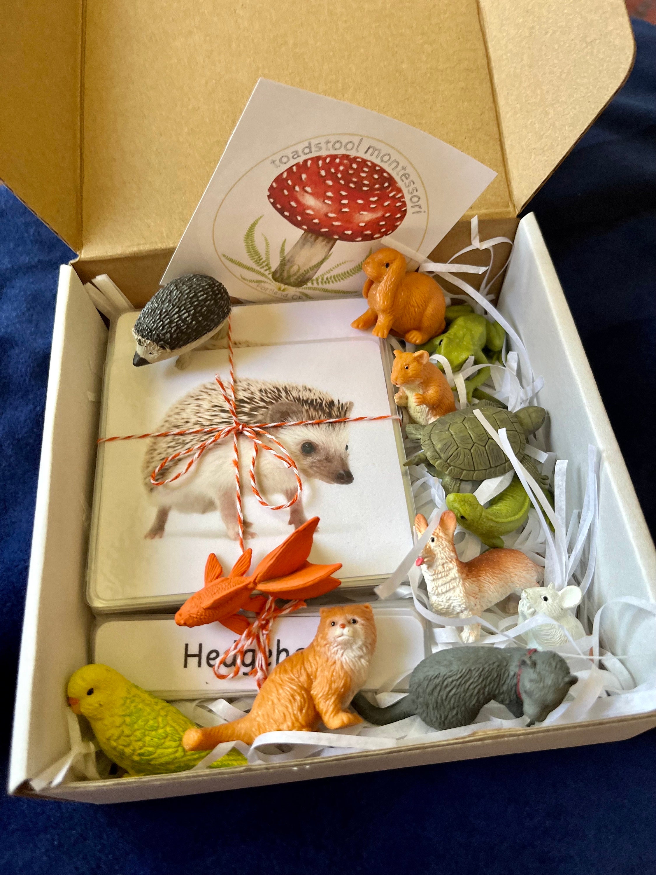 Montessori 3 Part Cards With Objects Pets - Etsy