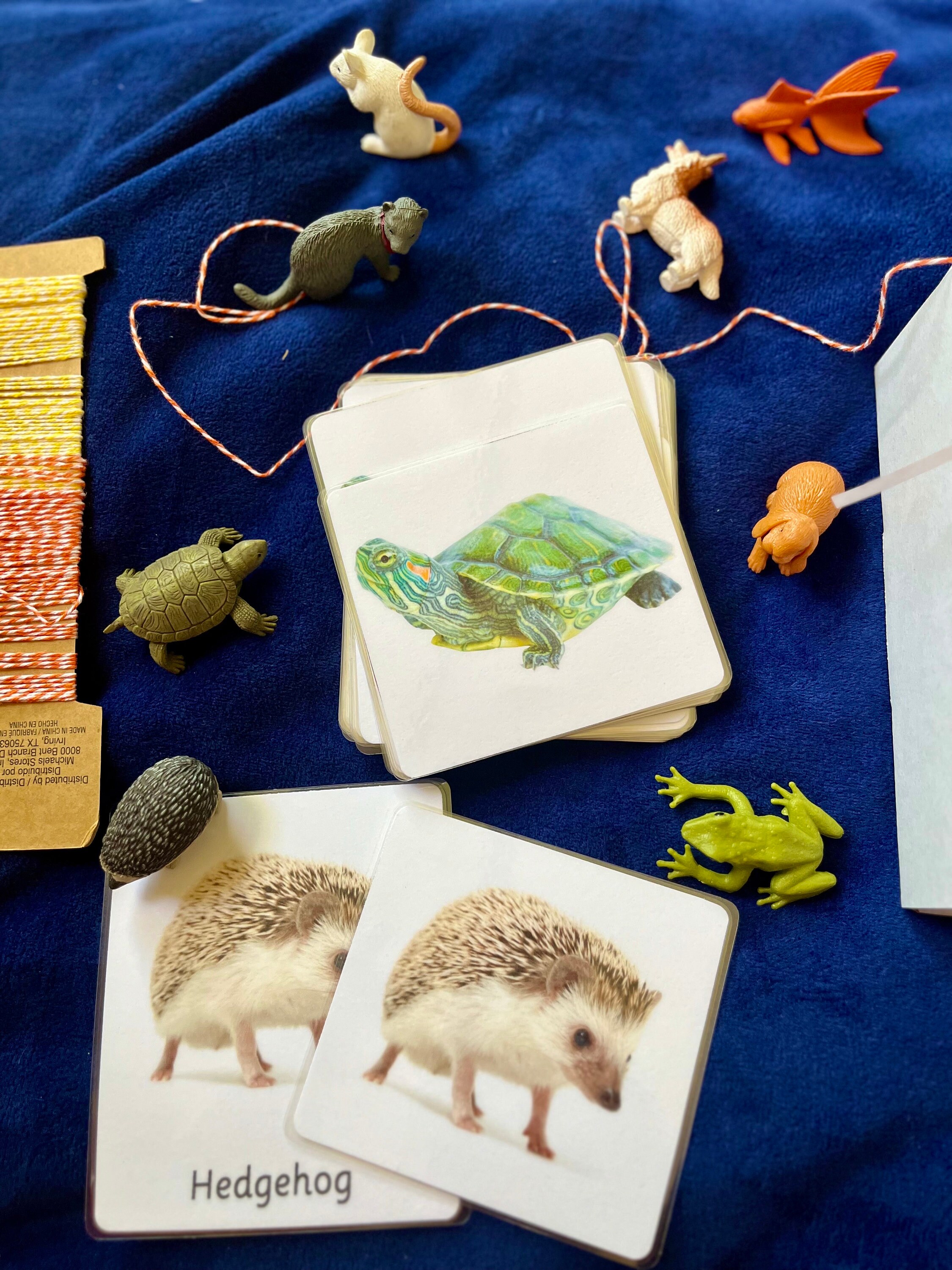 Montessori 3 Part Cards With Objects Pets - Etsy