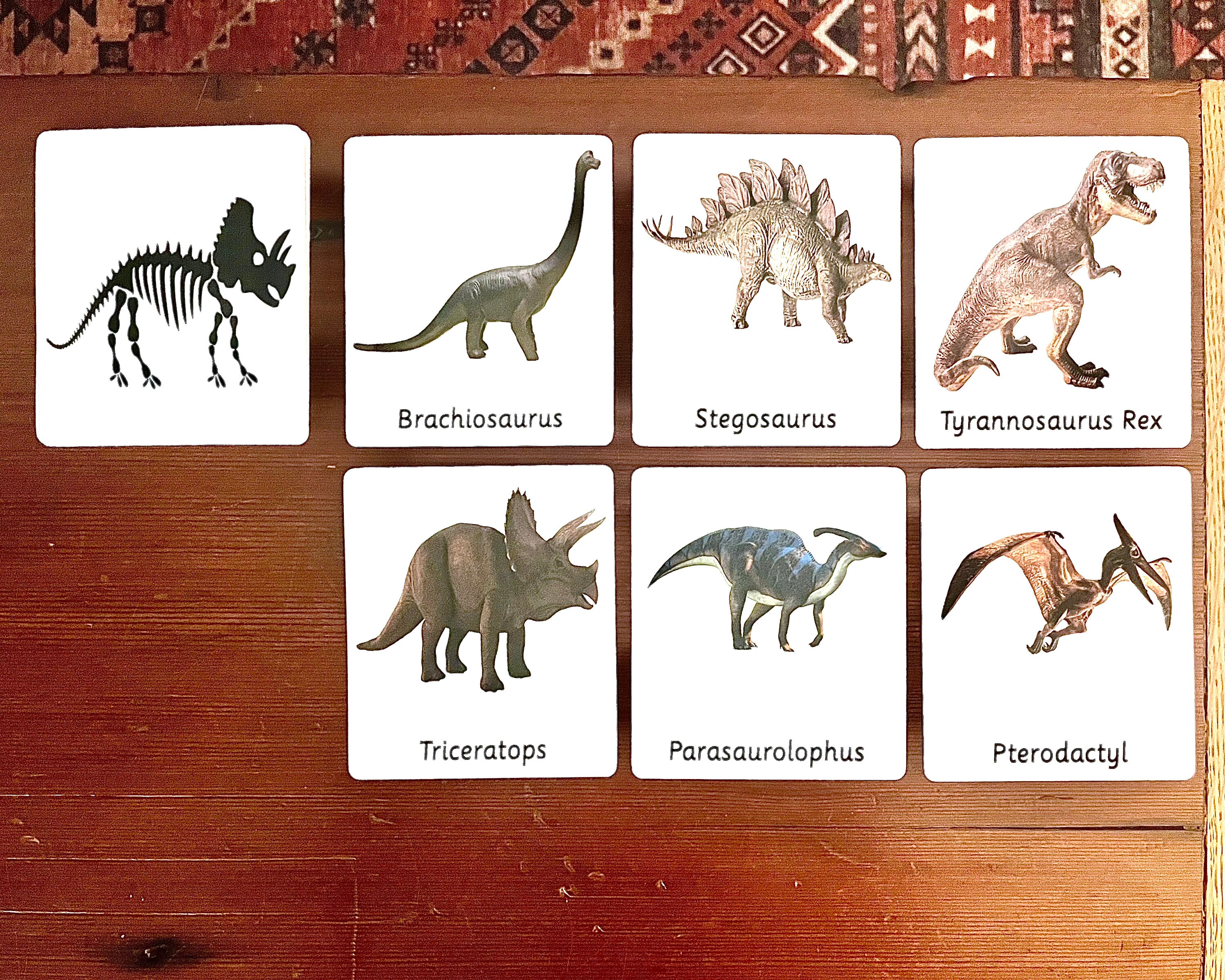 Dinosaur Skeleton Identification Cards - Etsy