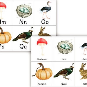 Watercolor Alphabet & Number Cards - Etsy