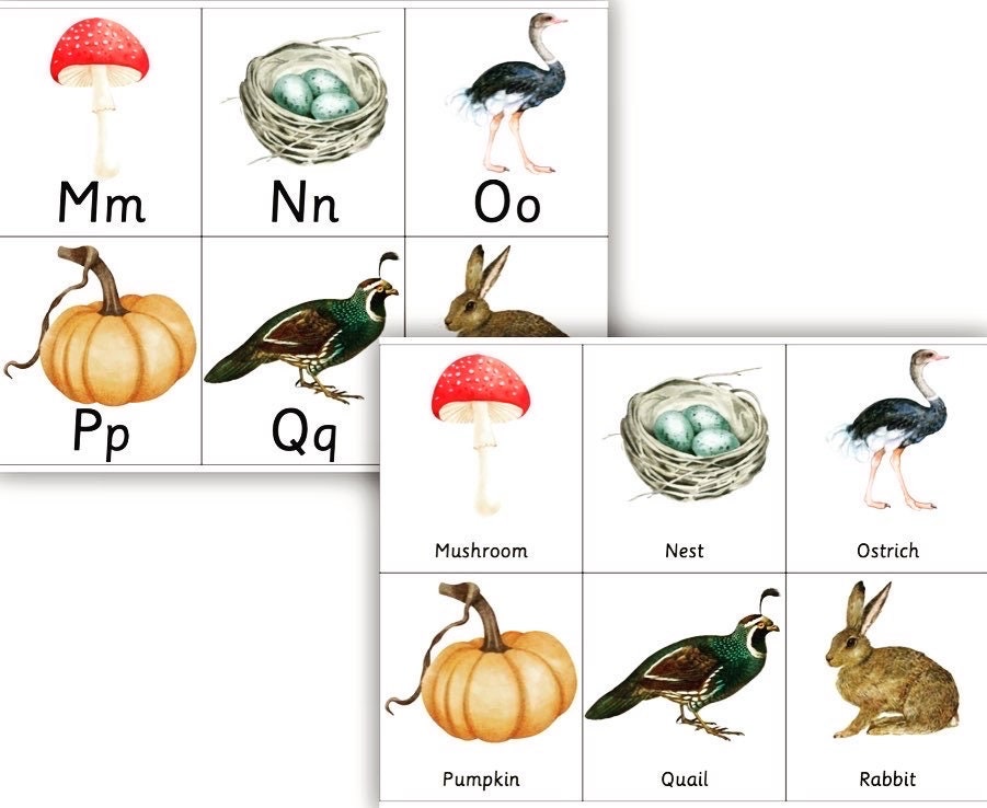 Watercolor Alphabet & Number Cards - Etsy